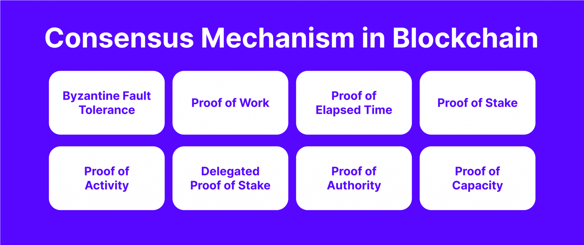 What Are the Different Types of Blockchain Networks?
